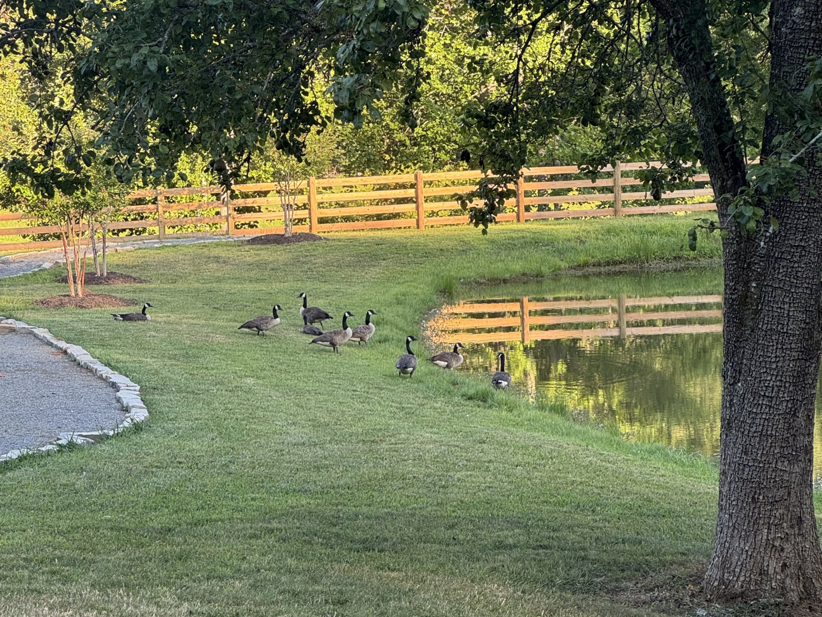 The Airstream at Kerith House - Kerith House