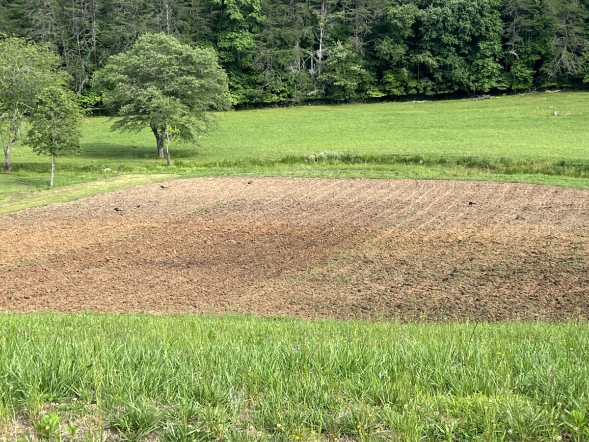 Kerith House July Update - Kerith House